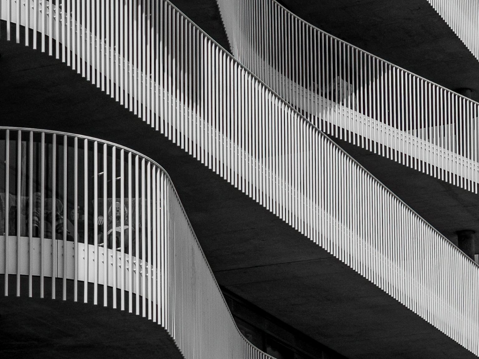 Gallery – Worthing Camera Club