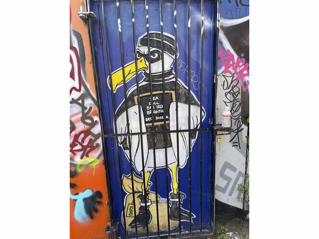 Gallery – Worthing Camera Club